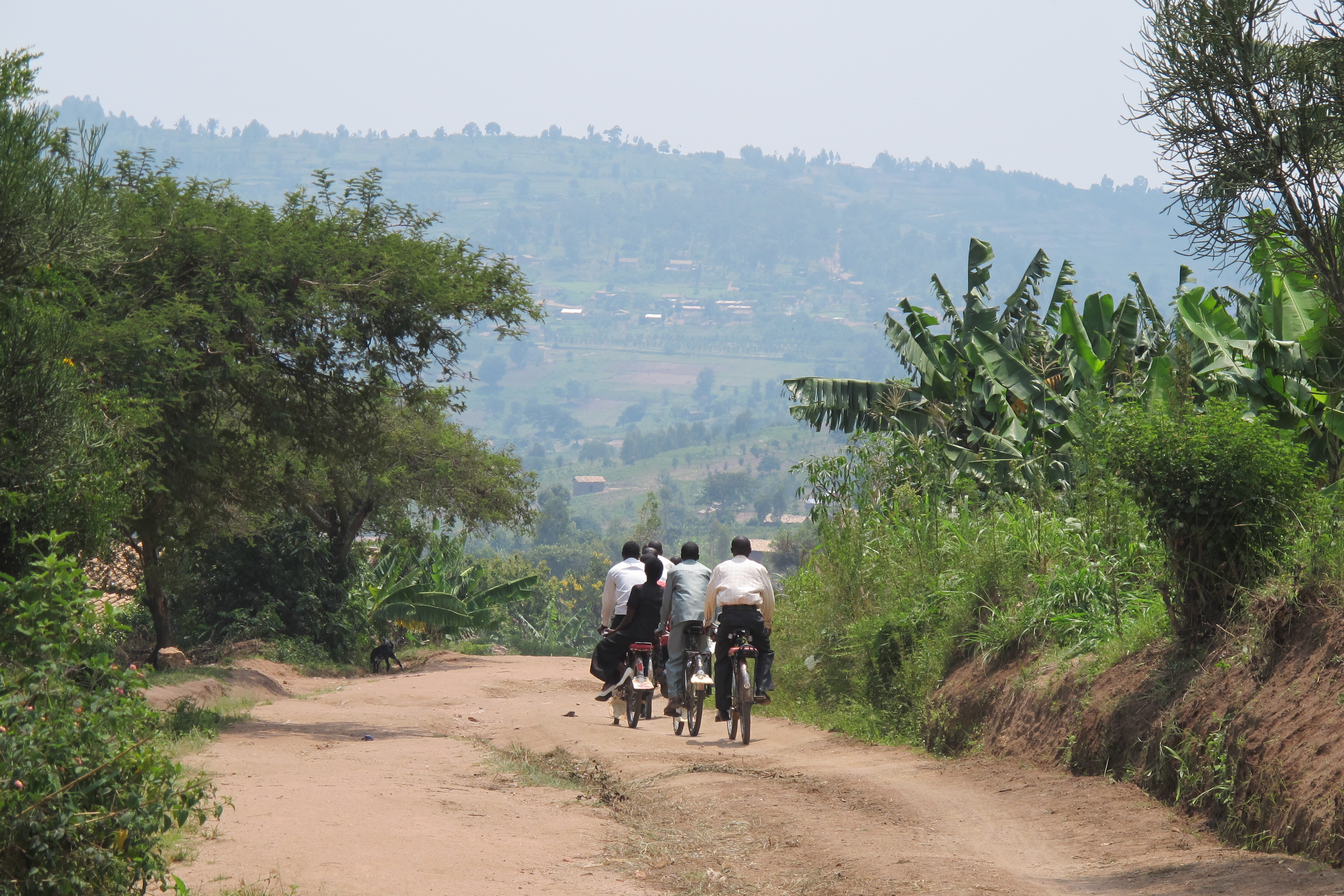 Rwanda – how it became such an inspiring act of modern rebirth | Kiva