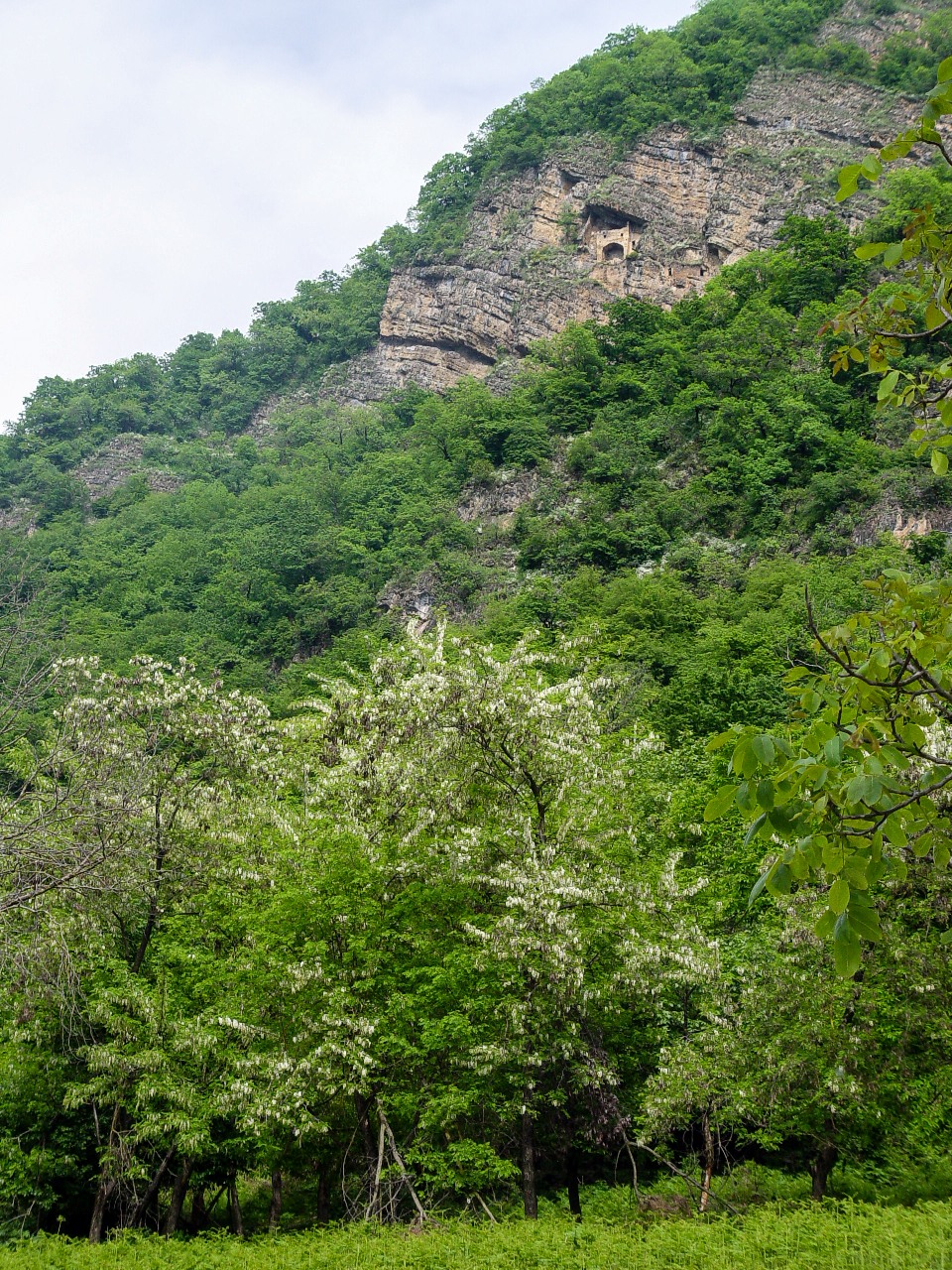 Up In the Caucasus: Photos of History in the Making | Kiva
