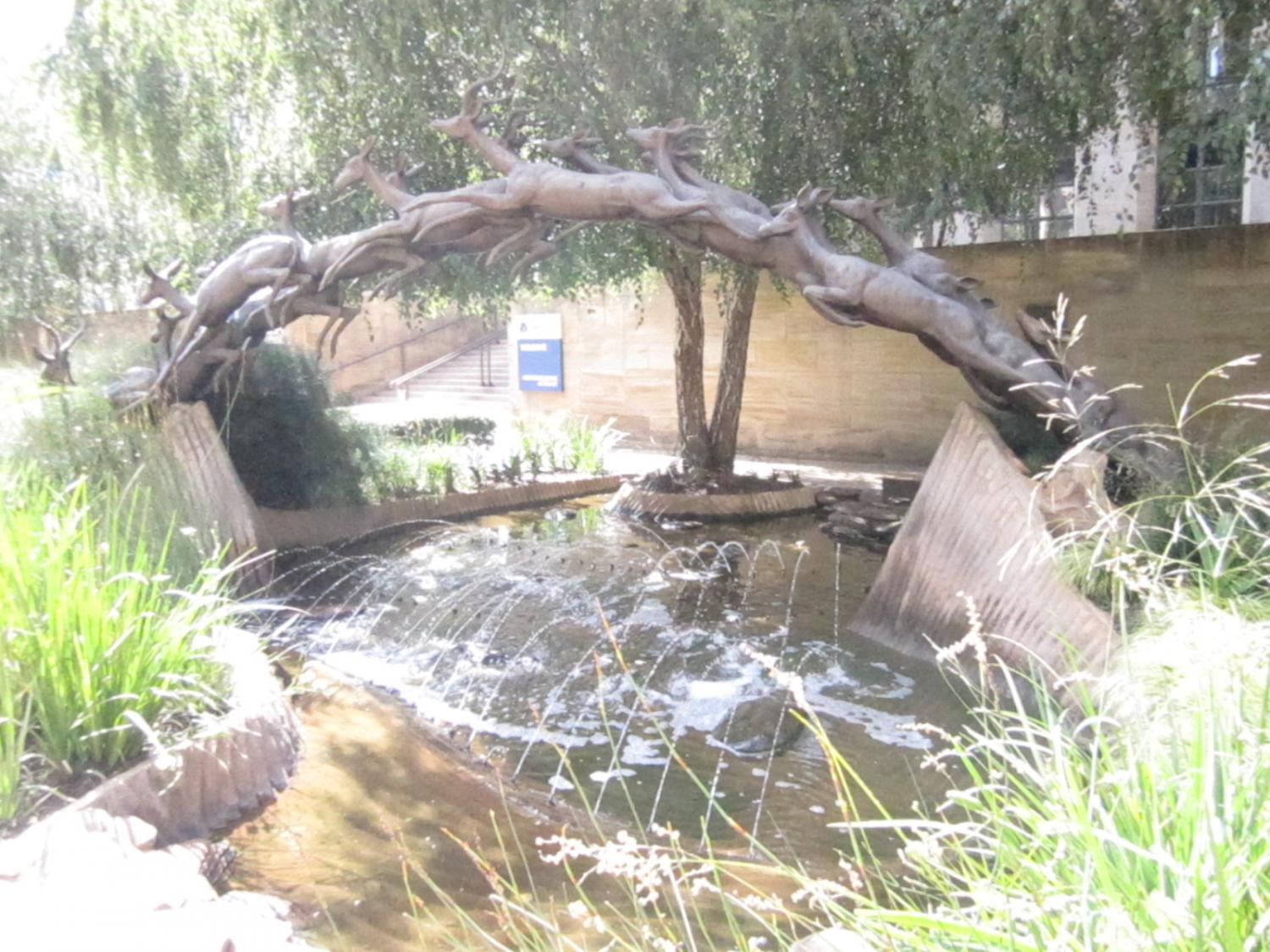 Photo Essay of Johannesburg, South Africa: 'a world class African city ...