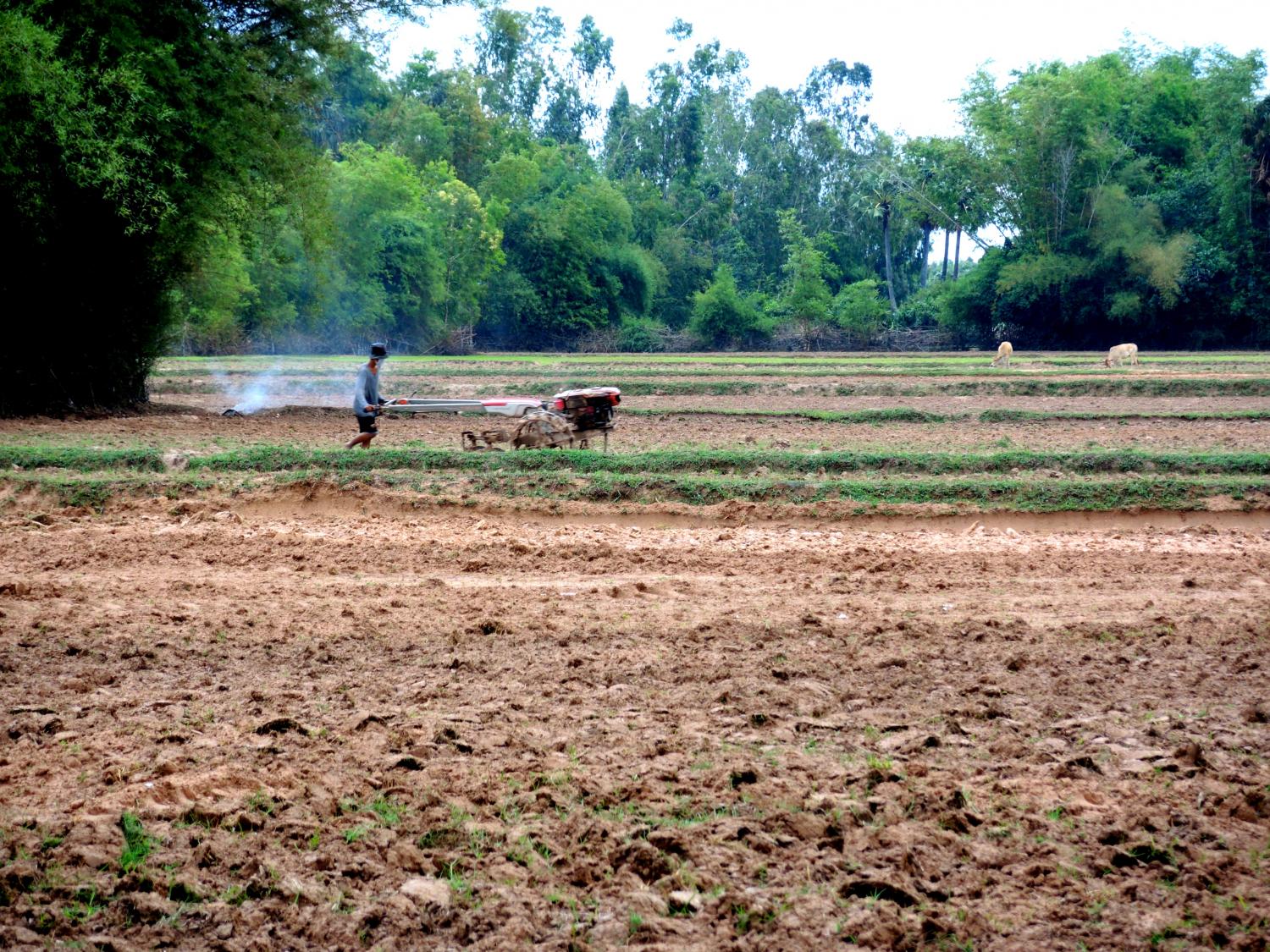 Learning to Earn in Rural Cambodia: "When the cash flows in, I save it ...