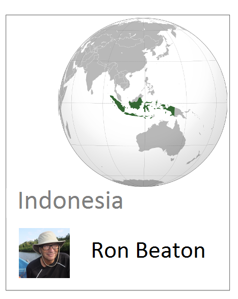 Potluck Series: Street Food! | Kiva